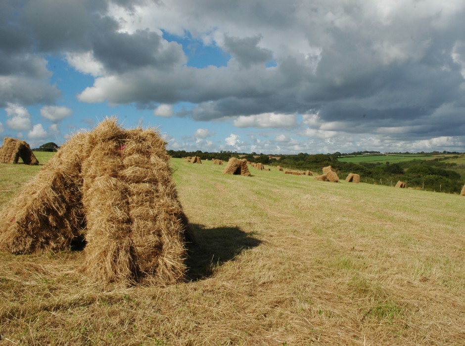 Holifield Farm Project Tickets