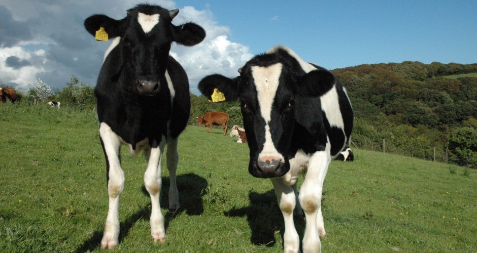 Holifield Farm Project Tickets