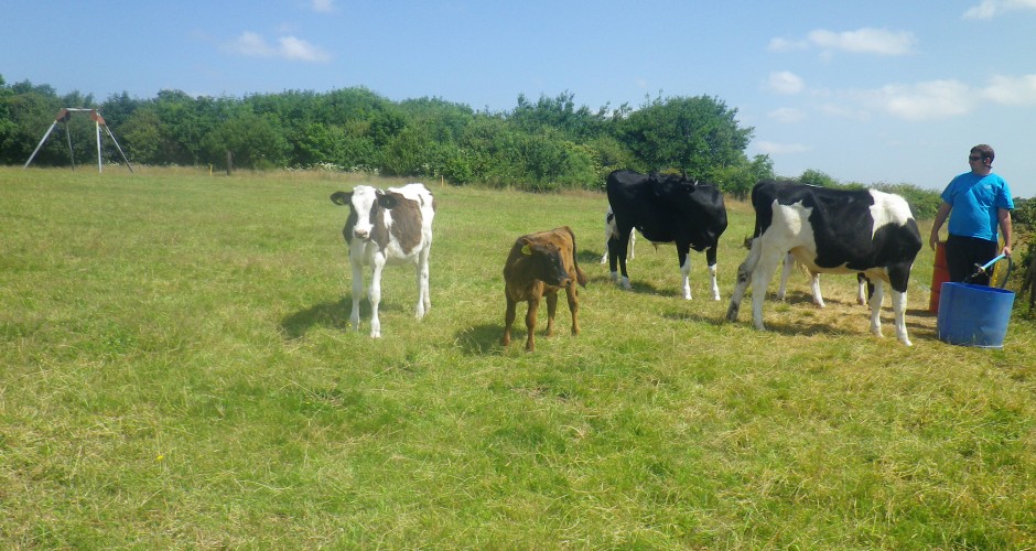 Holifield Farm Project Tickets